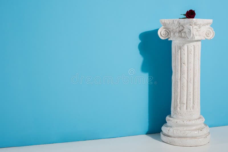 One Red Rose on White Column Stock Photo - Image of copy, simplicity ...