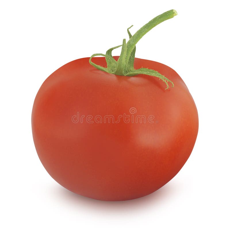 One Red Tomato Isolated on White Background Stock Photo - Image of ...