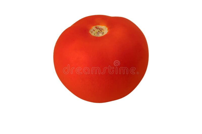 One Red Tomato on a White Background in Isolation Stock Image - Image ...