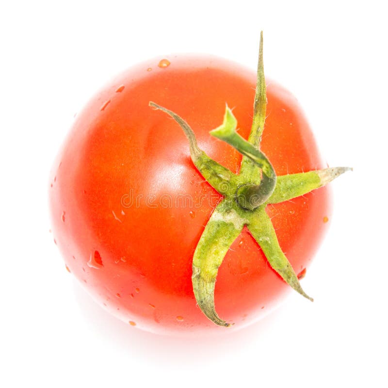 Wet Tomato Alone Picture. Image: 5852478