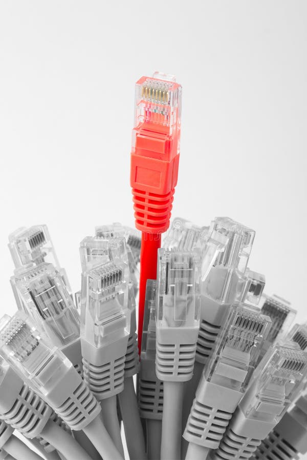 584 Ethernet Cable Bundle Stock Photos - Free & Royalty-Free Stock ...