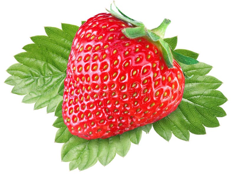 One Rich Strawberry Fruit with Leaves. Stock Photo - Image of ...
