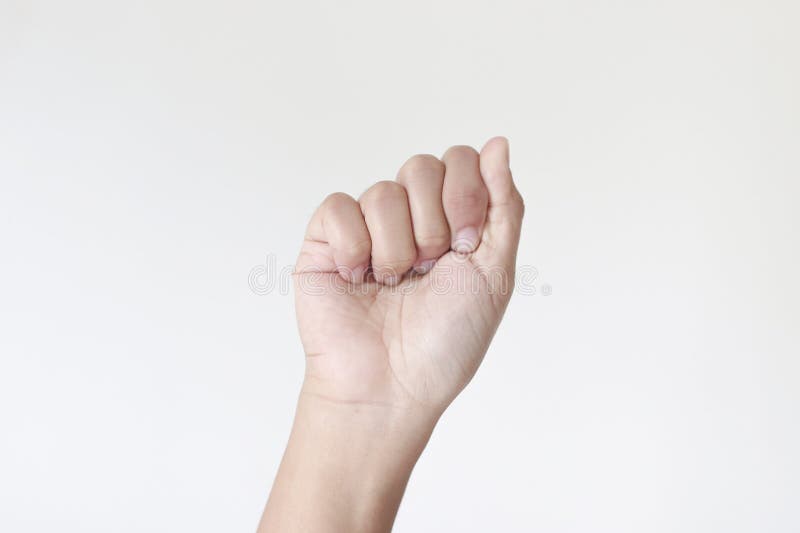 Hands clenched stock photo. Image of quail, fist, limb - 365978186