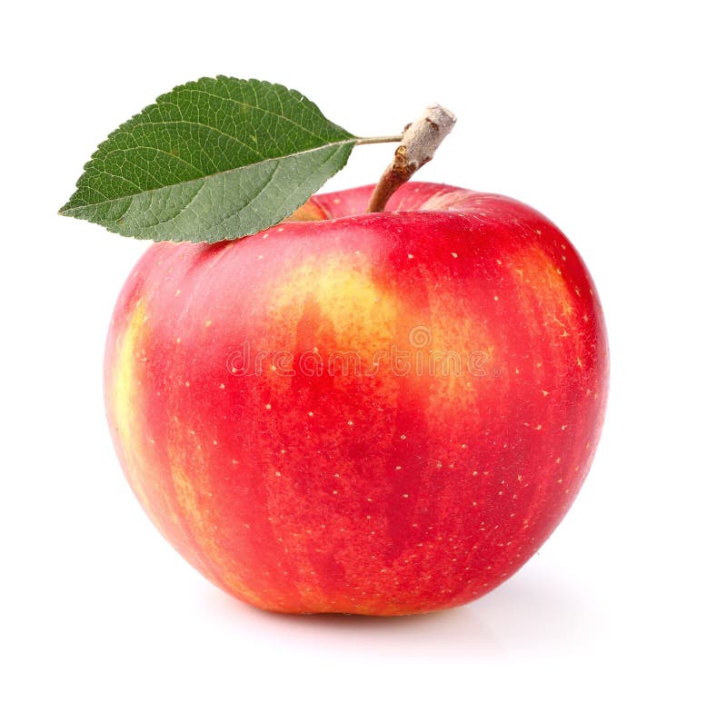 Ripe apple with leaf stock photo. Image of apple, ecology - 116237424
