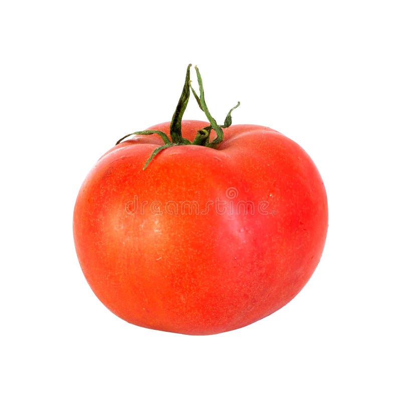 One Ripe Bright Red Tomato with Green Tail on White Background Stock ...