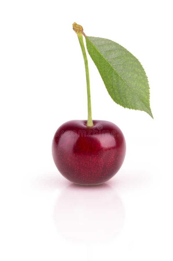 Ripe Cherry on a Background of Leaves Stock Photo - Image of gourmet ...