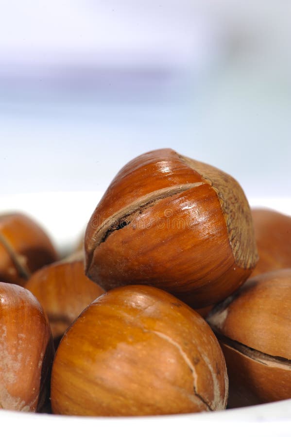 Nuts, hazelnut stock image. Image of white, hazelnuts - 29905243
