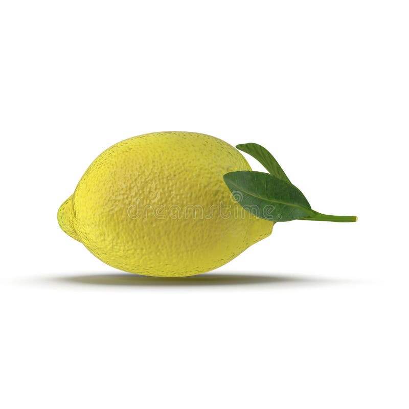 Lemon Side Stock Illustrations – 538 Lemon Side Stock Illustrations ...