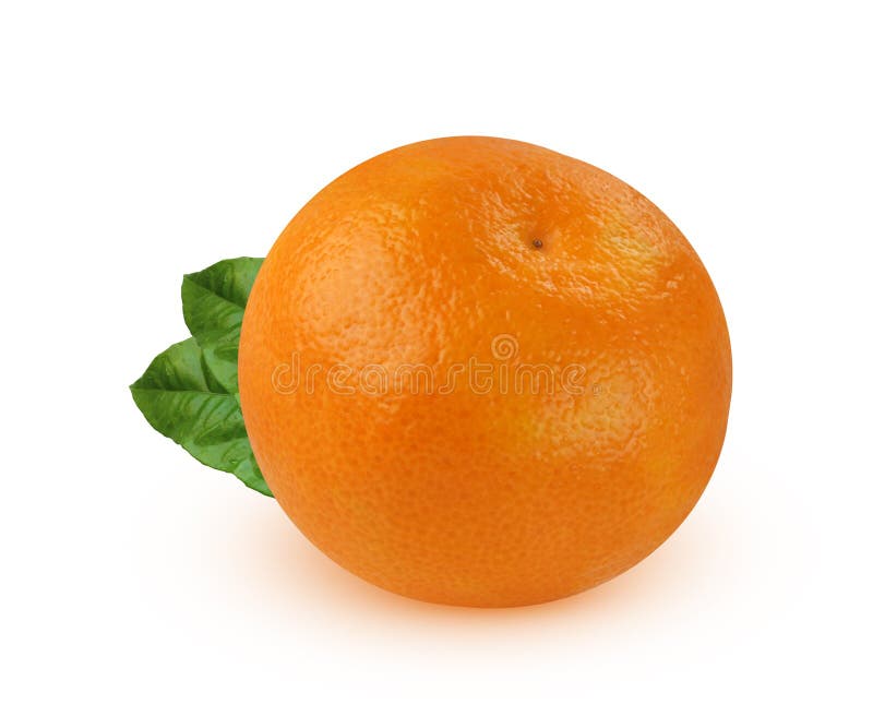 One Ripe Mandarin with Leaves Isolated on a White Background. Stock ...