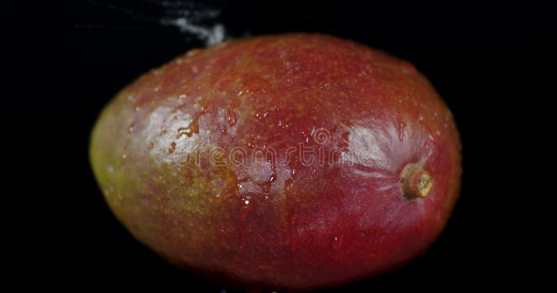 Wet Mango with Water Dripping on it Stock Video - Video of droplet ...