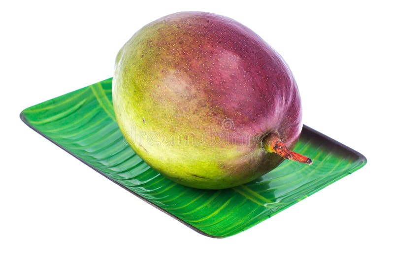 One ripe mango on plate stock photo. Image of fresh - 114495600