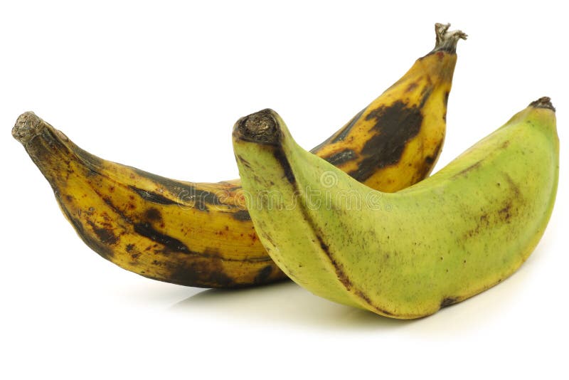 One Ripe and One Unripe Baking Banana (plantain) Stock Image - Image of ...