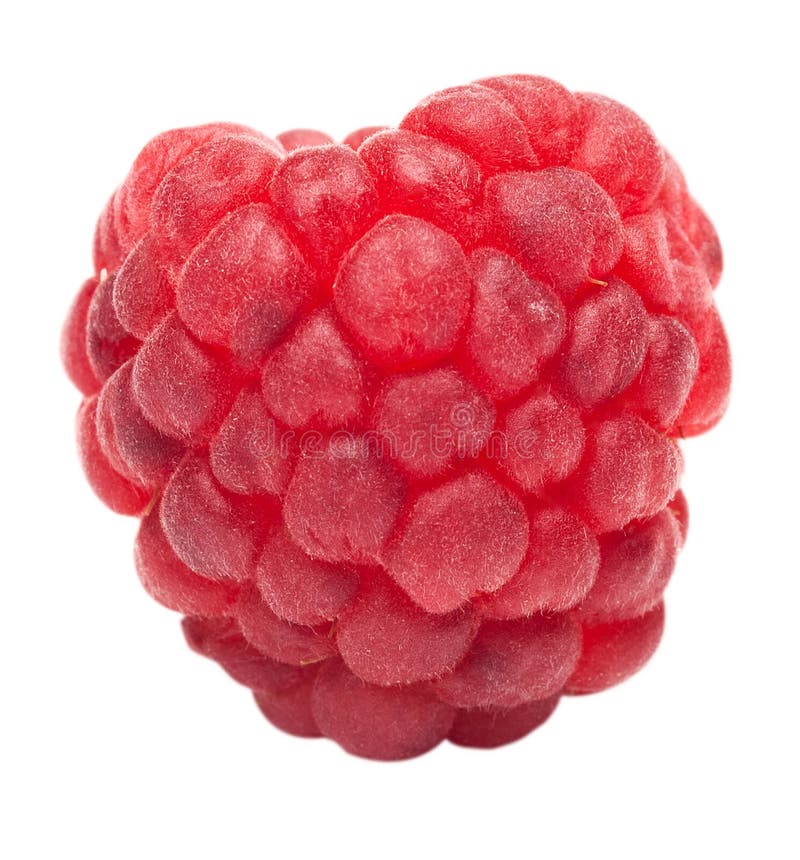 One ripe raspberry stock image. Image of season, raspberry - 189905217