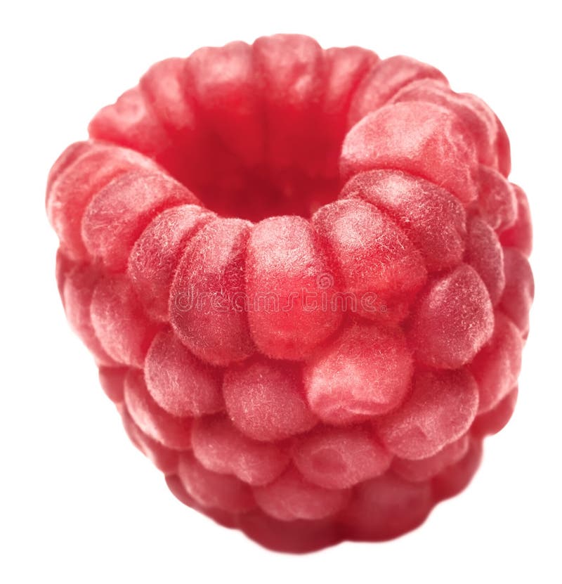 One ripe raspberry stock image. Image of ingredient - 189905243