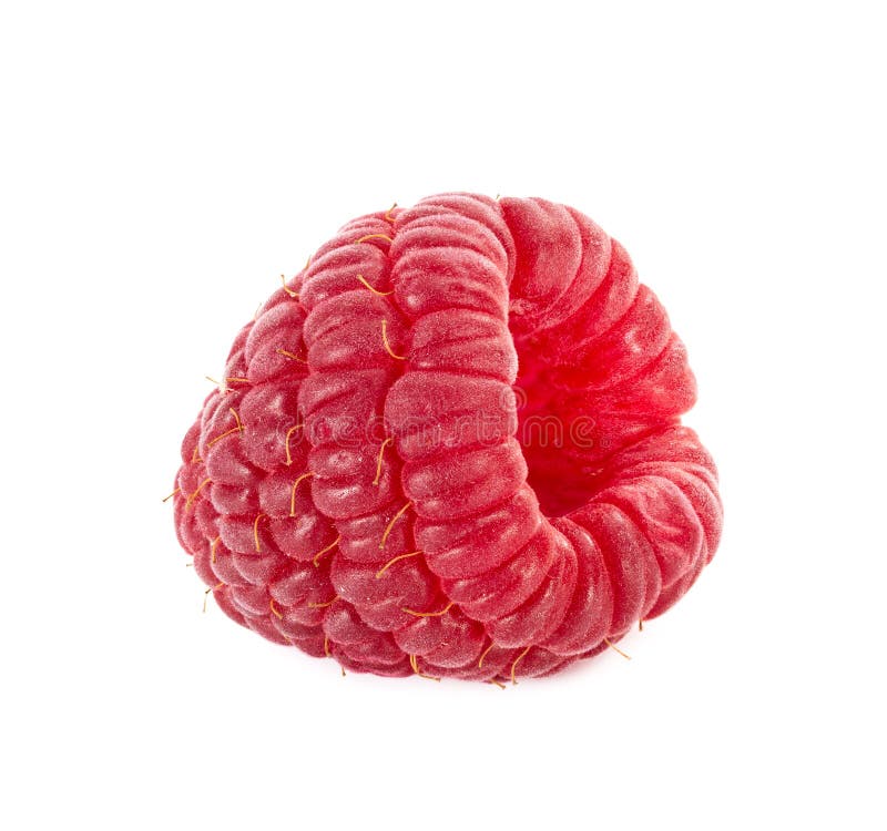 One Ripe Raspberry Isolated on White Background Stock Image - Image of ...