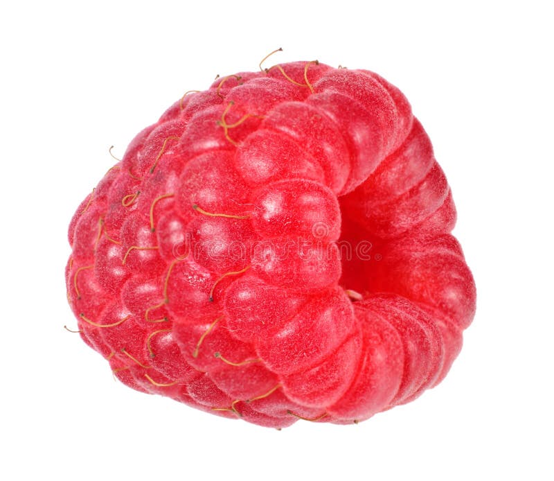 One Ripe Raspberry Isolated on White Background Macro Stock Photo ...