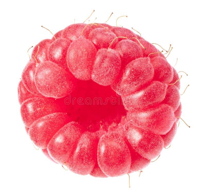 One Ripe Raspberry Isolated on White Background Macro Stock Image ...