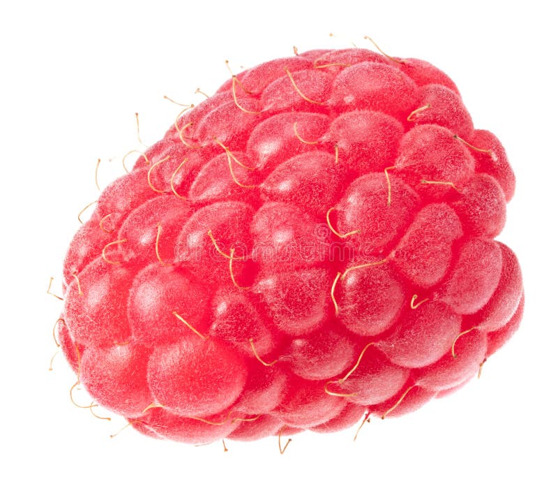One Ripe Raspberry Isolated on White Background Macro Stock Image ...