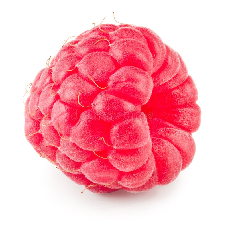 One Ripe Raspberry Isolated on White Background. Macro Stock Photo ...