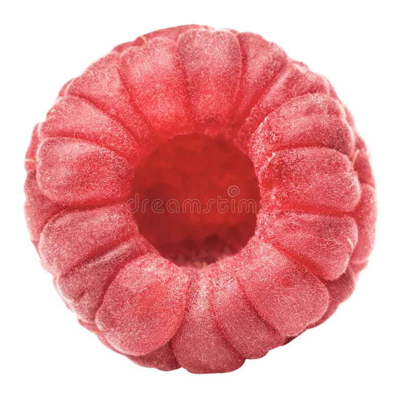 One ripe raspberry stock photo. Image of single, design - 189905238