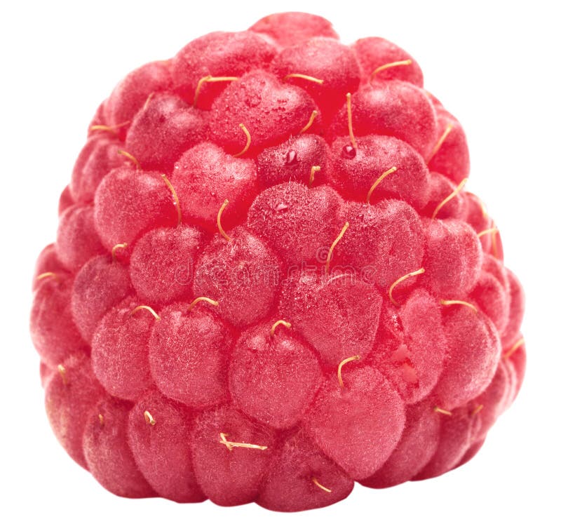 One ripe raspberry stock photo. Image of isolated, ingredient - 189905224