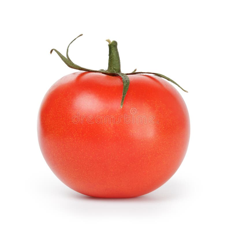 One ripe red tomato stock image. Image of healthy, food - 37018241