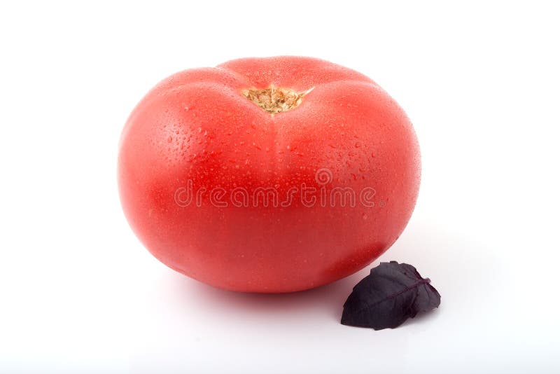 One Ripe Tomato with a Basil Leaf Stock Image - Image of basil, leaf ...