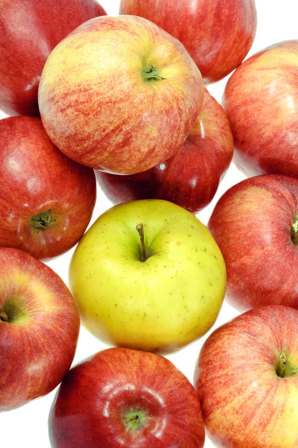 One Ripe Yellow Apple with Red Apples Stock Photo - Image of health ...
