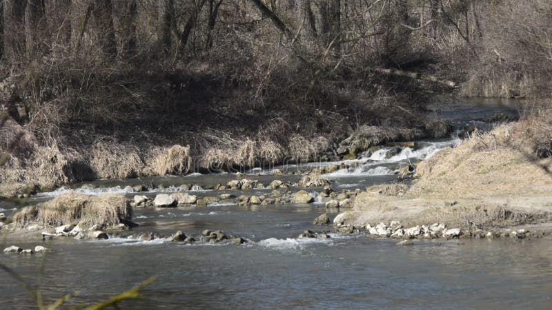 One River Flows into Another River Stock Video - Video of plant, stone ...