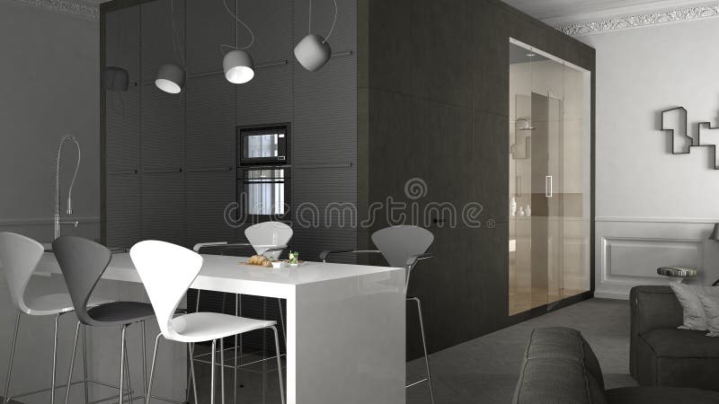 One-room Apartment, Interior Design Stock Illustration - Illustration ...