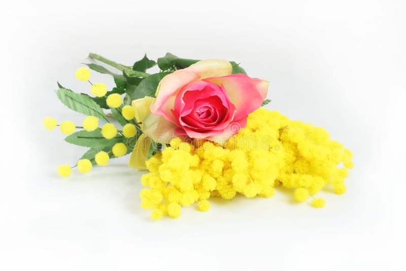 Rose and mimosa stock image. Image of nature, love, easter - 29740893
