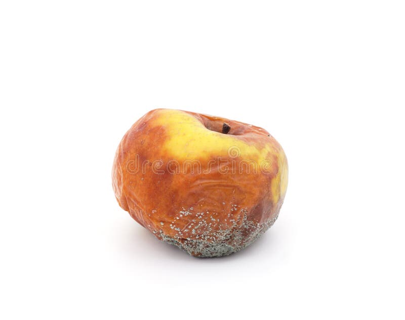 457 One Rotten Apple Stock Photos - Free & Royalty-Free Stock Photos ...