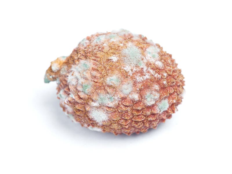 Mouldy Fruit Stock Photos - Download 1,188 Royalty Free Photos