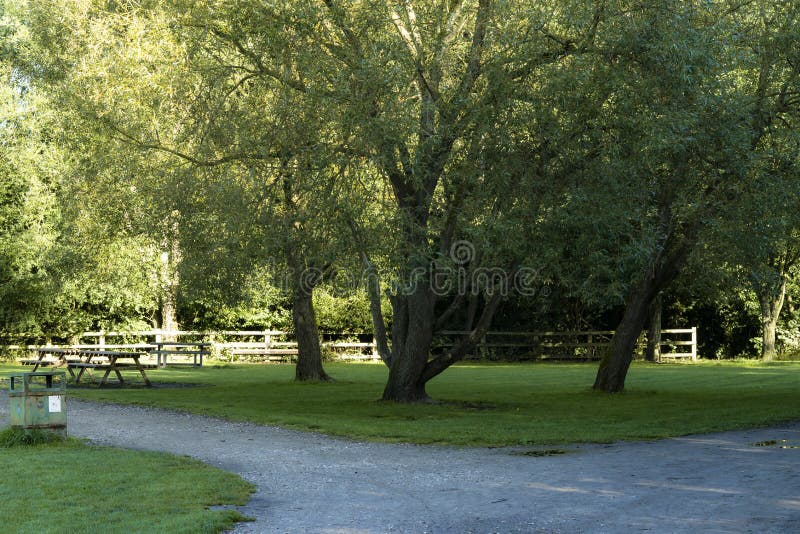 One`s Path is Never Straight Forward Stock Image - Image of beautiful ...