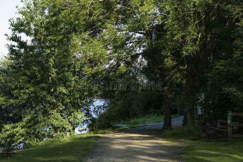 One`s Path is Never Straight Forward Stock Image - Image of path, life ...