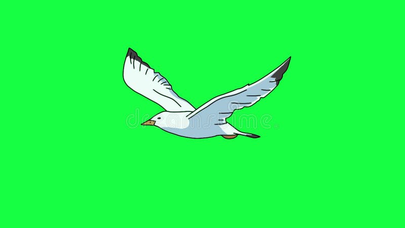 Seagull Flies, Frame by Frame Animation. Stock Video - Video of life ...
