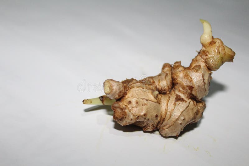 One Segment of Ginger is Good for Health Stock Photo - Image of cuisine ...