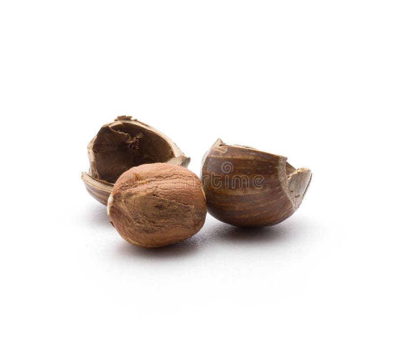 Fresh Hazelnut isolated stock photo. Image of hazel - 106811100