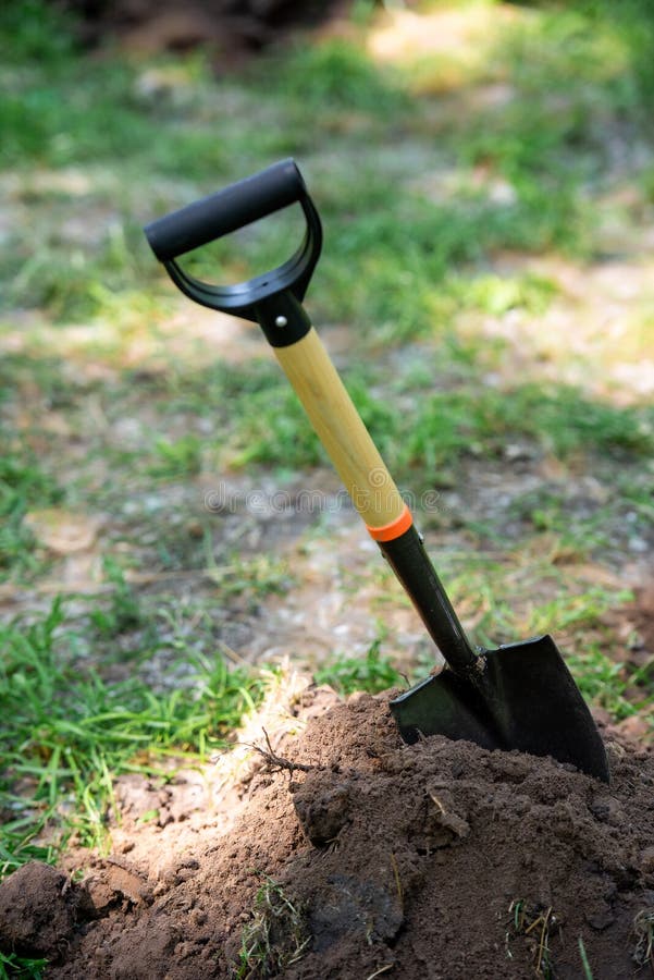 One Shovel in Soil for Planting Stock Photo - Image of resource ...