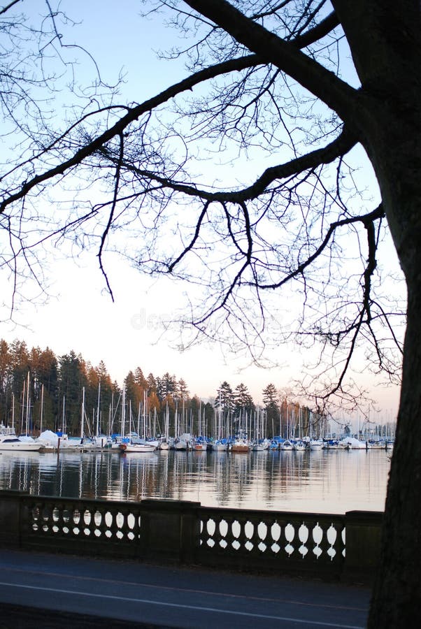 One Side of View at Downtown Vancouver Stock Image - Image of mountain ...