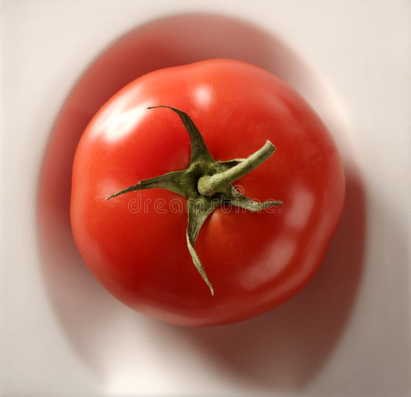 One Simple Red Tomato in a White Dish Stock Photo - Image of nutrition ...