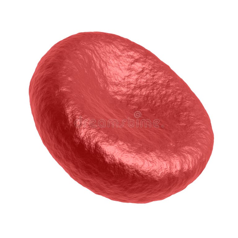 One Single Blood Cell Isolated on White Stock Illustration ...