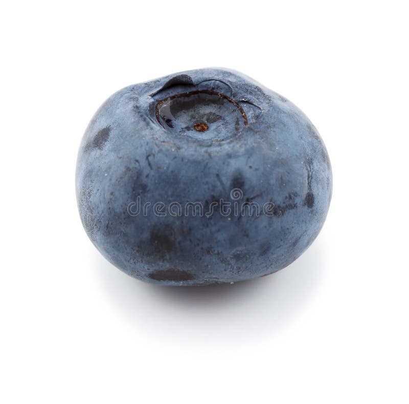 One Single Blueberry Against A White Background Stock Photo - Image of ...