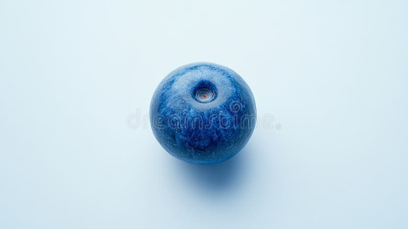 One Single Blueberry on a White Background Stock Illustration ...