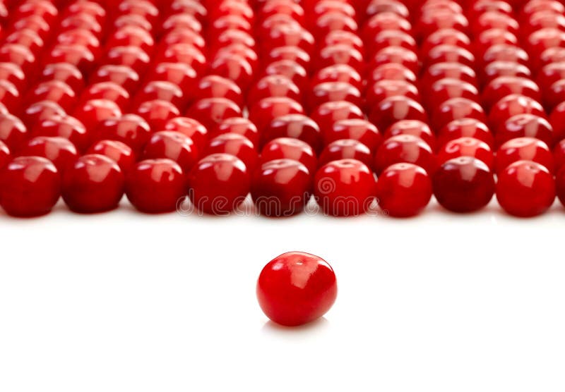 One Single Cherry and Group of Cherries Stock Photo - Image of arranged ...