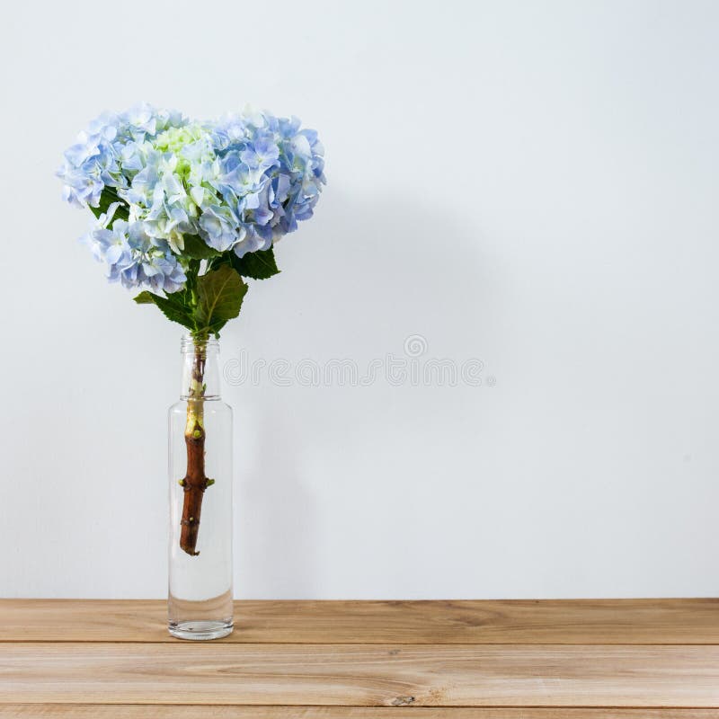 One Single Hydrangea in a Glass Bottle Stock Image - Image of ...