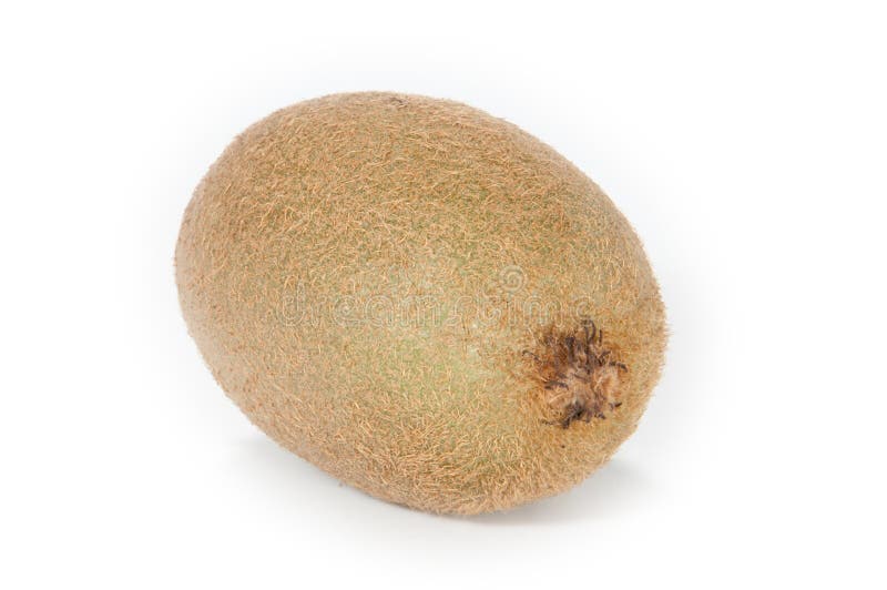 Single Kiwi Fruit stock image. Image of single, eating - 135078349