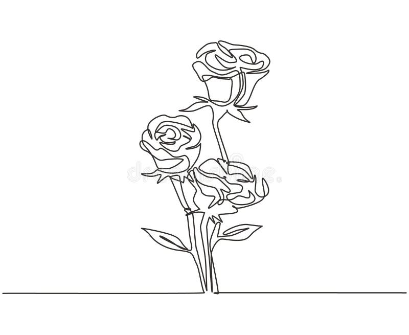 One Line Rose Stock Illustrations 3 774 One Line Rose Stock