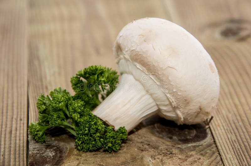 Single Fresh Mushroom With Parsley Stock Image - Image of board, diet ...