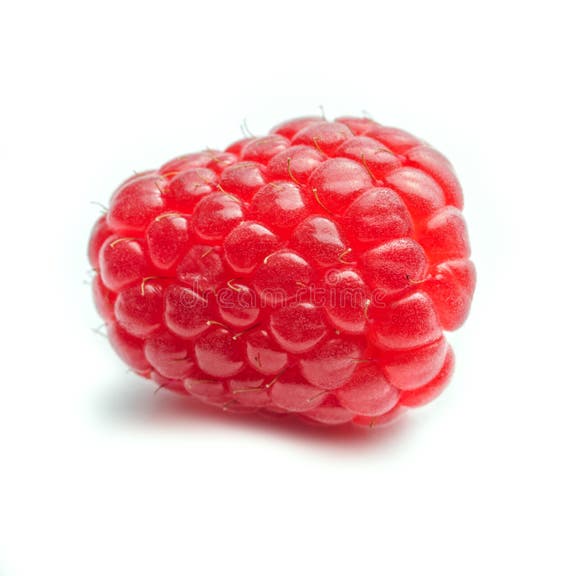 One Single Raspberry Against a White Background Stock Photo - Image of ...